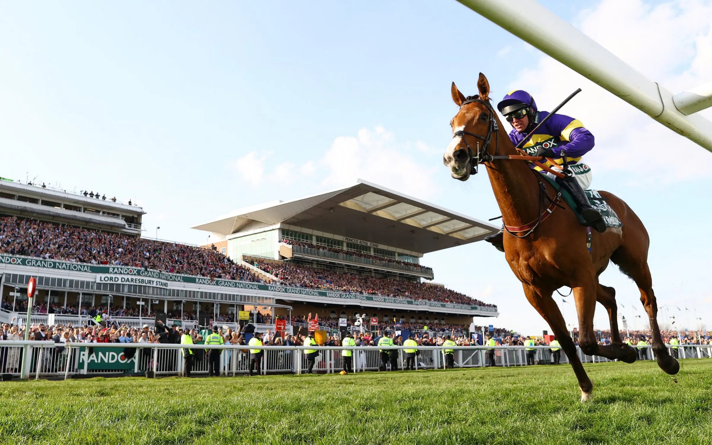 The Grand National: A Deep Dive into the World's Most Famous ...
